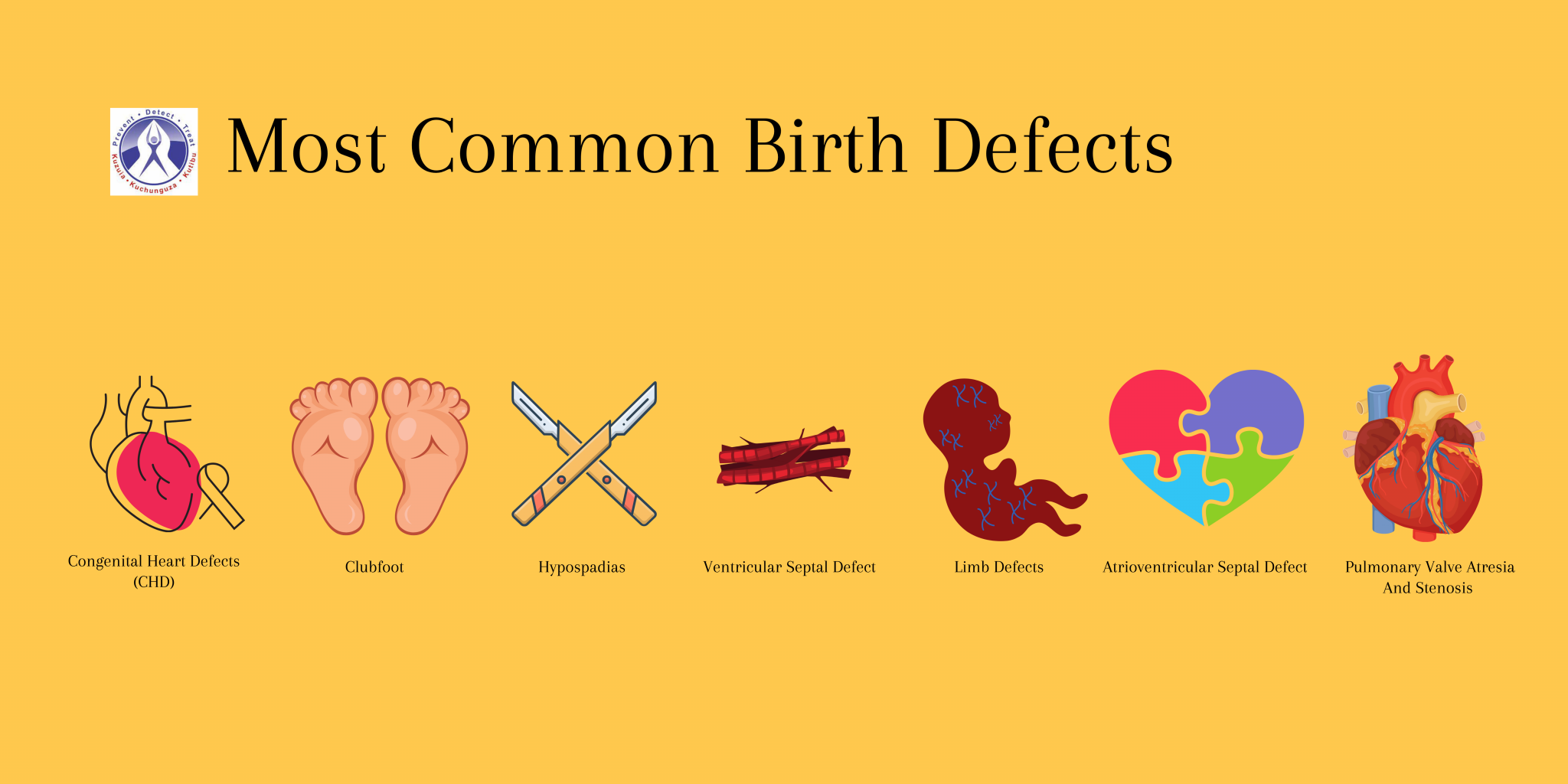 Common Types of Birth Defects and Their Causes | RMC Tanzania